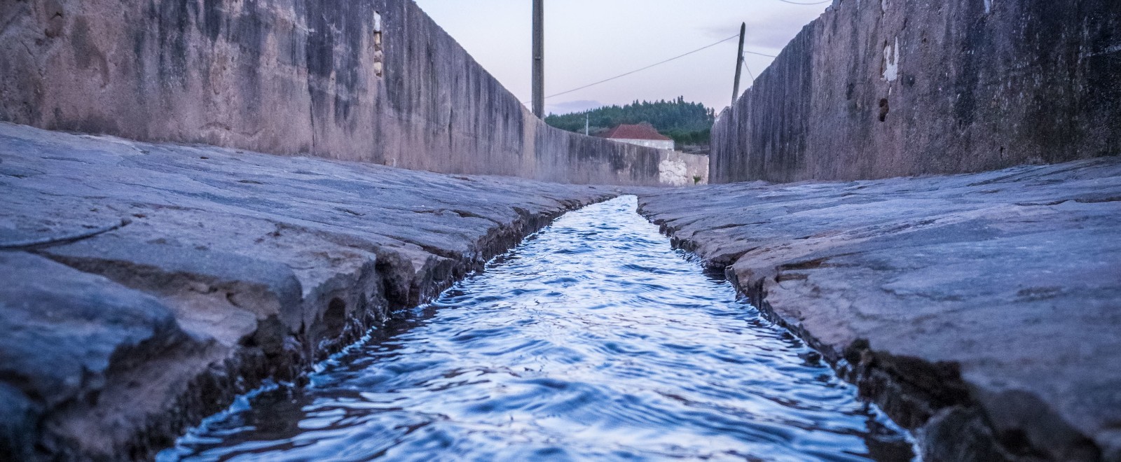 Sistema Tohá: Un éxito de innovación eficiente y ecológica atrae al ...