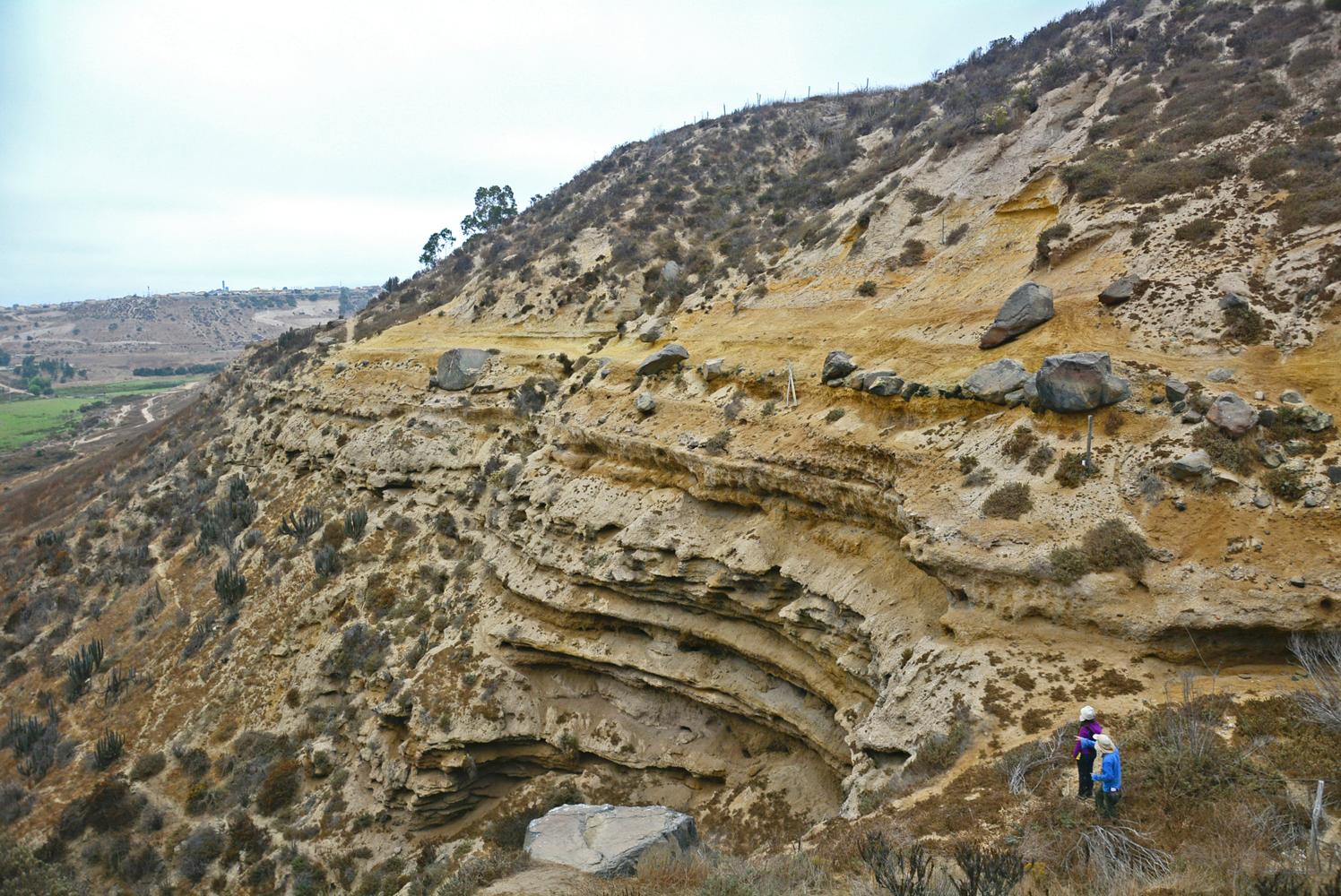 Master in Sciences, mention in Geology - Facultad de Ciencias Físicas y ...